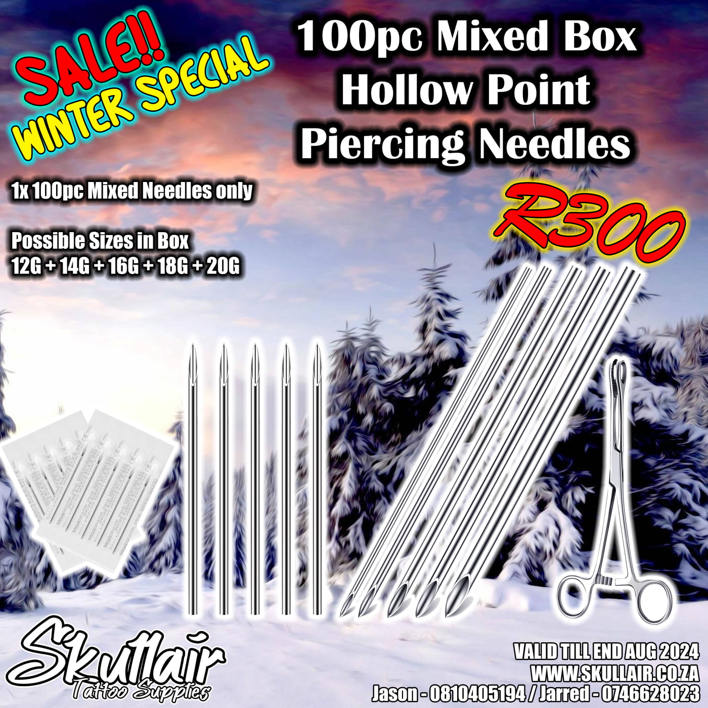 Mixed Box 100pc Hollow Point Piercing needles